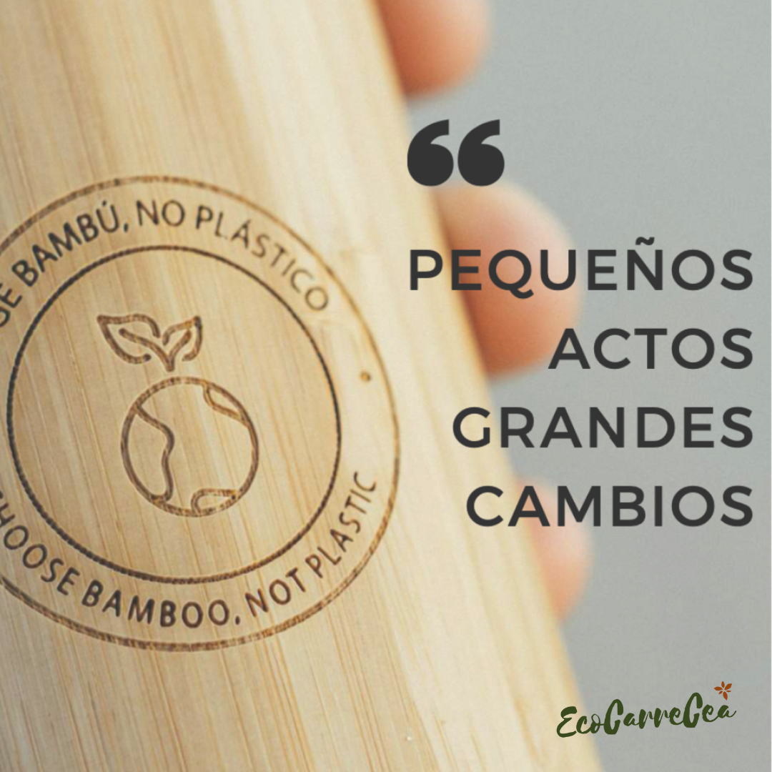 Productos sostenibles de bambú – ecocarrecea